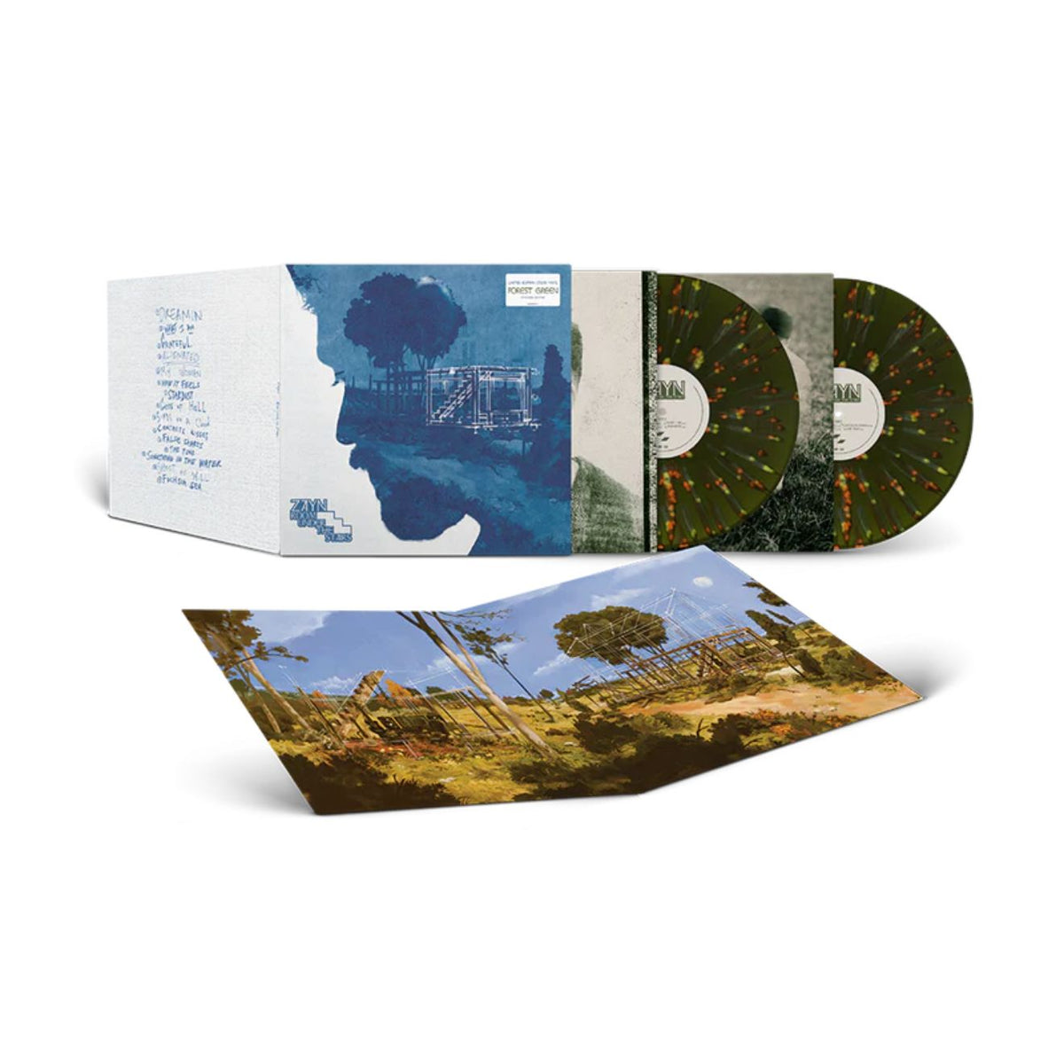 Room Under The Stairs Limited Edition Forest Green Splatter Vinyl ...